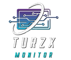 Unable to download TURZX/TURING software – TURZX-Monitor